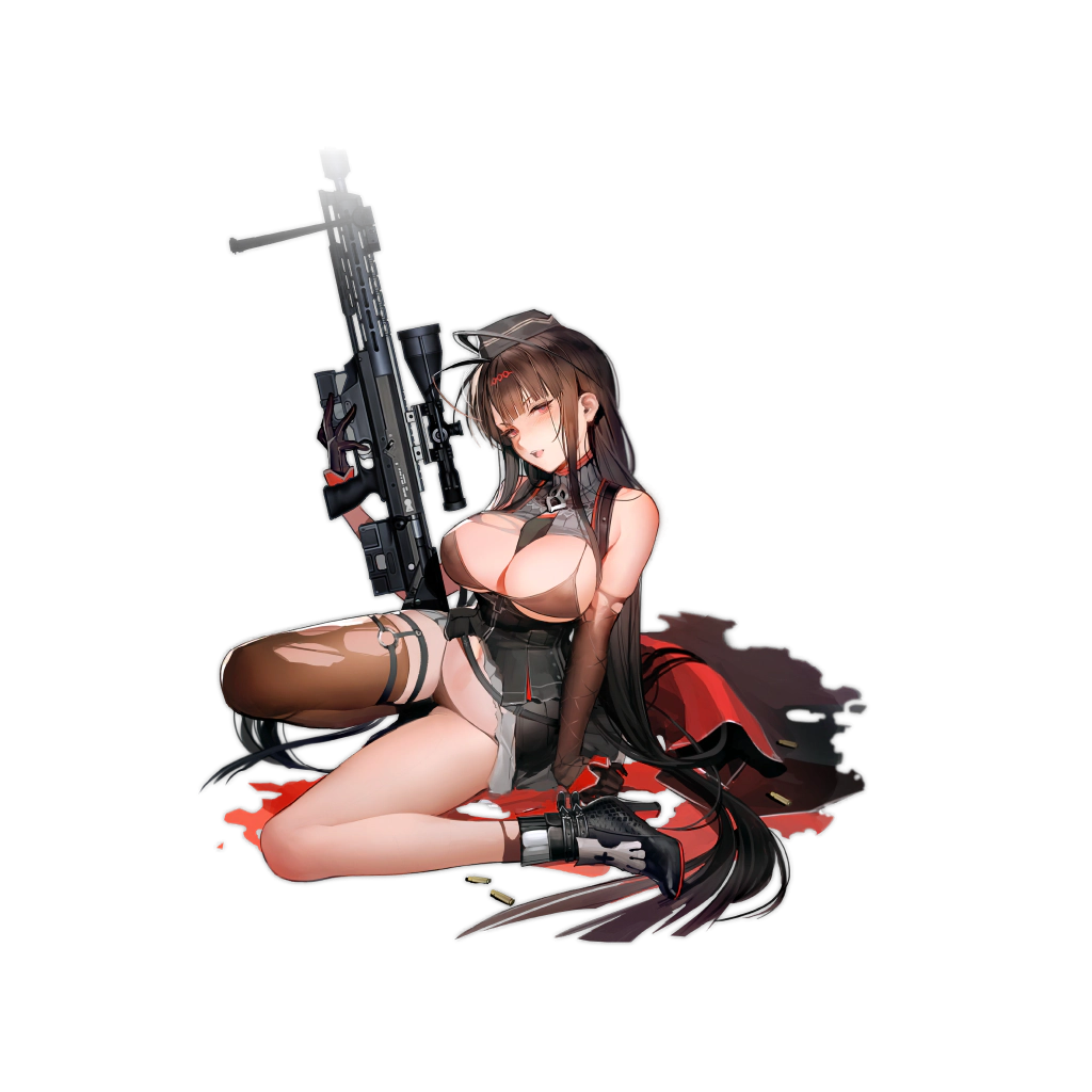 Gd DSR-50 - ドールズフロントライン(ドルフロ)【少女前線】 Wiki*